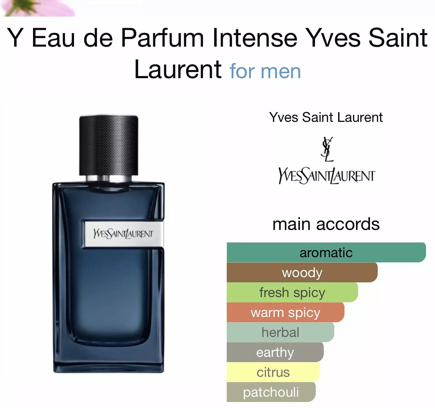 Y Eau de Parfum Intense Yves Saint Laurent | Niche Fragrance