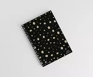 Black Daisy | a3dt underground